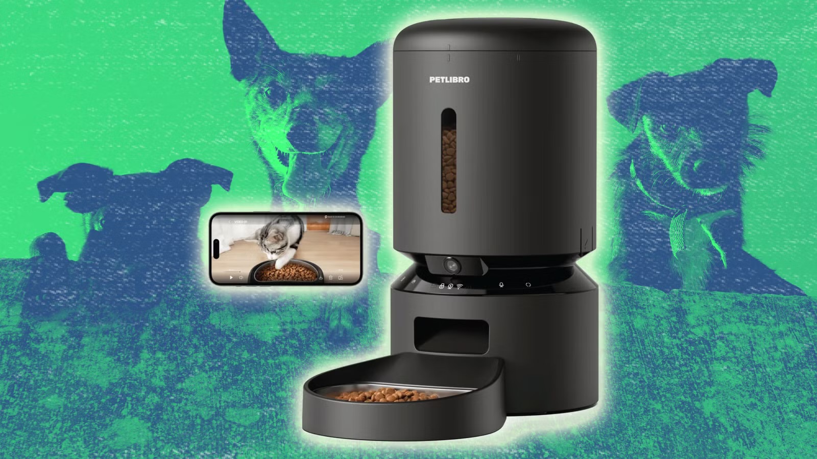 Smart Home Setup for Multi-Pet Households: What You Need to Know - J's ...